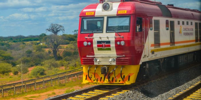 Leisurely Train Trip from Nairobi to Suswa